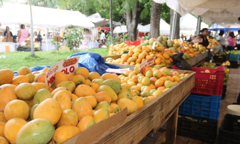 Expo Mango 2026 reunirá cultura, innovación y sabor en Baní – ACN ...